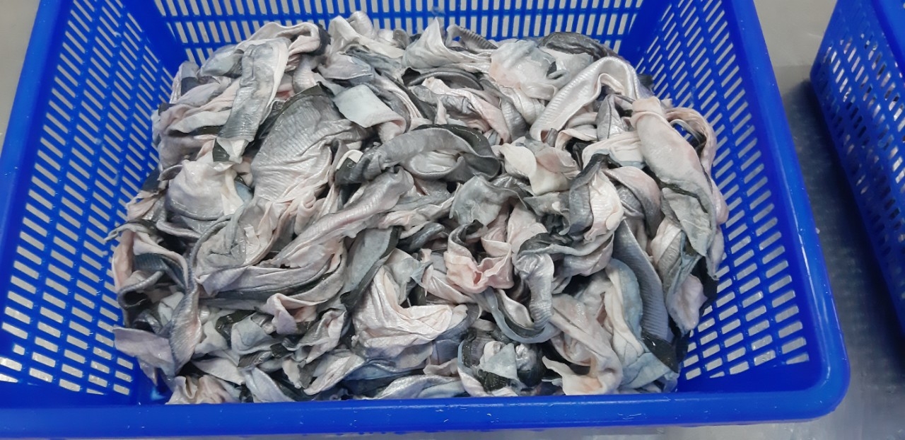 FROZEN PANGASIUS SKIN