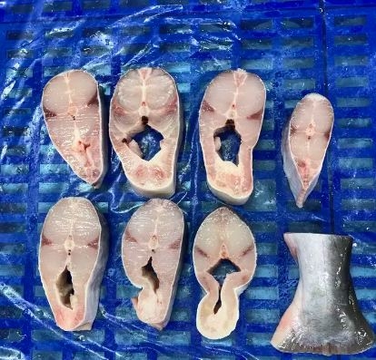 FROZEN PANGASIUS STEAK