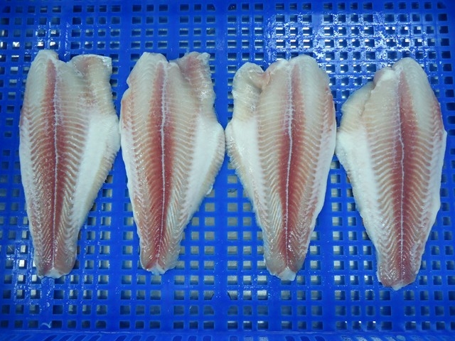 FROZEN PANGASIUS FILLET UN-TRIMMED